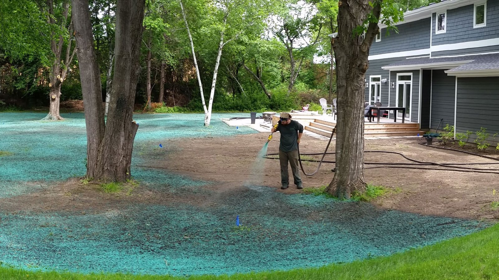 Hydroseeding vs. Ready Lawn Auckland: Cost, Benefits & Best Choice for ...